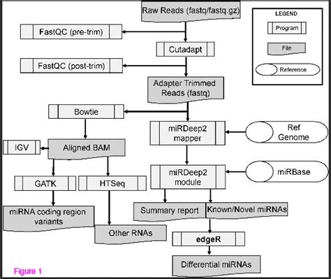 Cap Mirseq A Comprehensive Analysis Pipeline For Microrna Sequencing