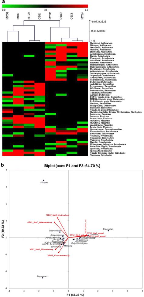 Heatmap Shows Hierarchical Clustering Of Taxa Relative Download