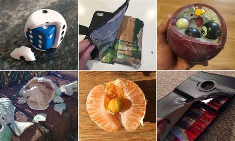hilarious online gallery shows the random items found in everyday