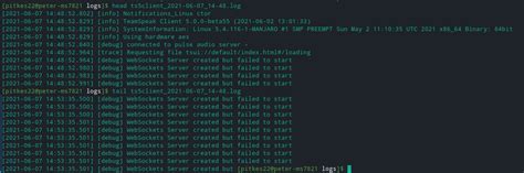 websockets server created but failed to start teamspeak client