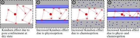 Schematic Sketch Of Molecular And Knudsen Diffusion Including