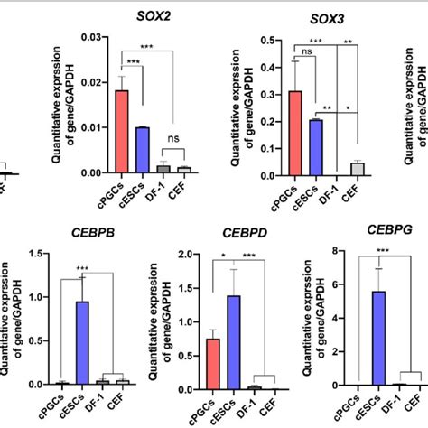 Quantitative Expression Analysis Of Predicted Transcription Factors
