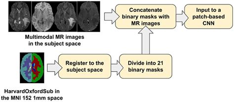 Frontiers Improving Patch Based Convolutional Neural Networks For Mri