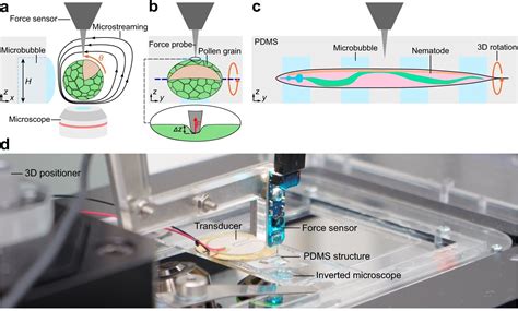 Integrating Acoustic Manipulation With Microfluidics