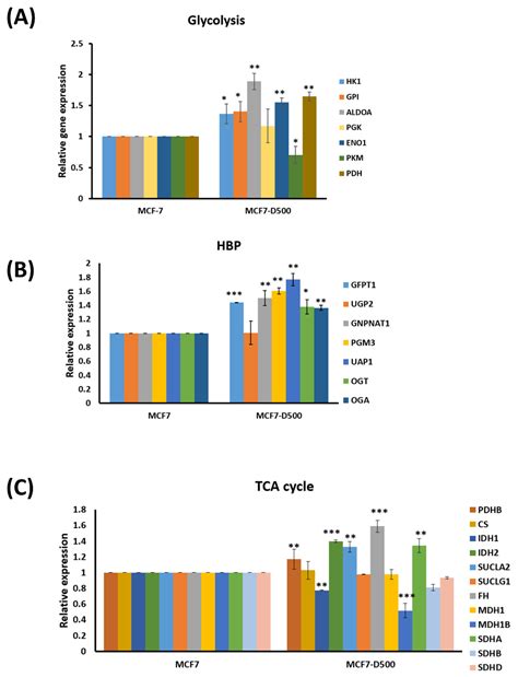 Ijms Free Full Text Breast Cancer With Increased Drug Resistance
