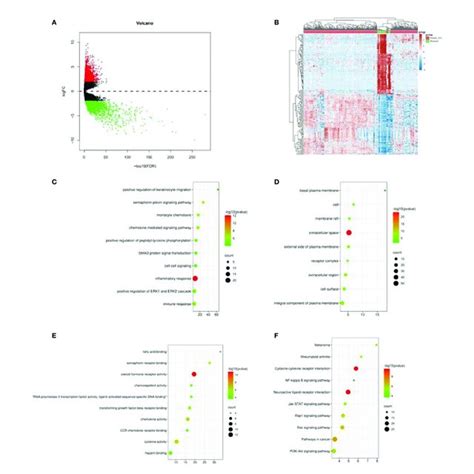 Differential Expression Genes In Tcga Kirc Data And Enrichment