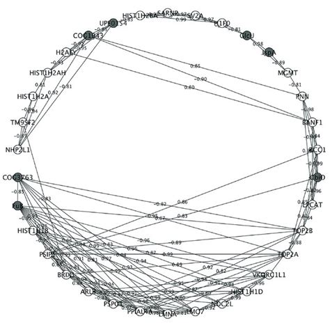 Correlational Network Analysis Of Lm1 And Ipec J2 Proteins Cytoscape