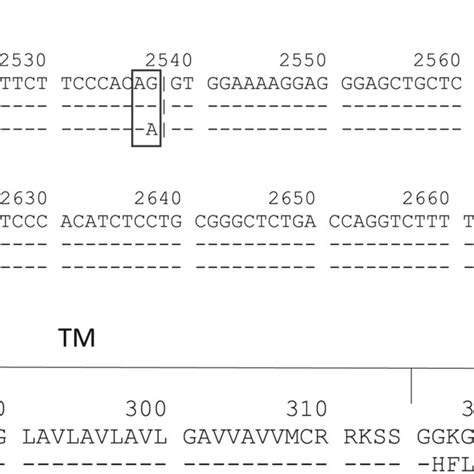 A Partial Nucleotide Sequence Alignment Of C 01 02 01 01