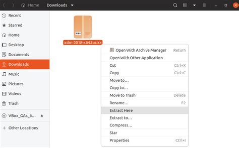 how to install xdman on ubuntu 19 04 best download manager