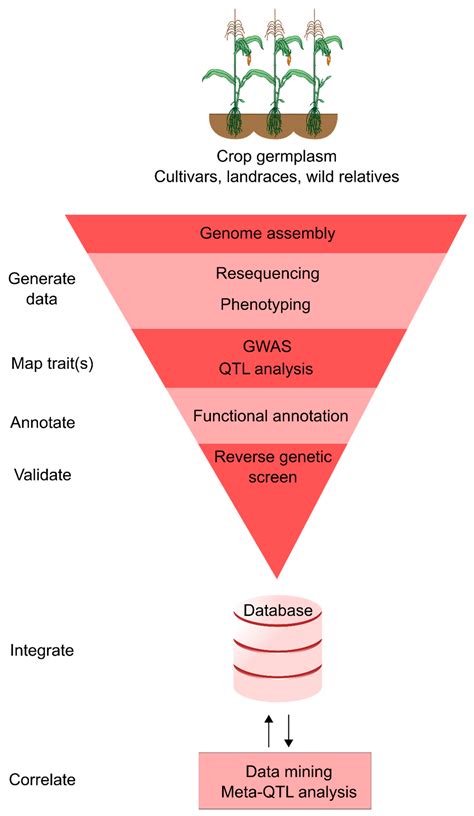 Agriculture Free Full Text Advances In Integrating Genomics And