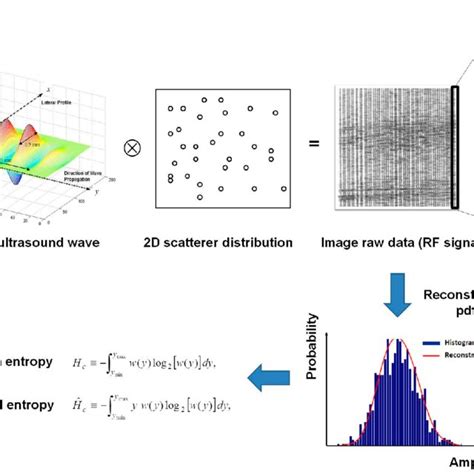 Simulation Procedures For Estimating Entropy The Image Raw Data Are