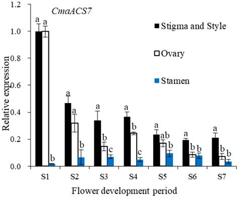 Ijms Free Full Text Morphological Transcriptomic And Hormonal