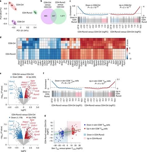 Runx3 Induces A Cd8 Like Trm Cell Transcriptional Signature In Cd4⁺ T