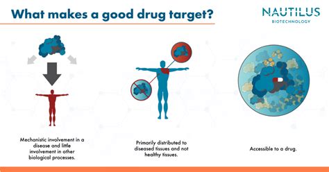 Image Depicting Some Of The Components Of An Ideal Drug Target These