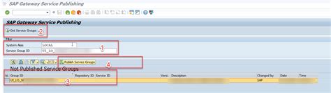 Publish Activate An Odata V4 Service Group In Sap Sap Community