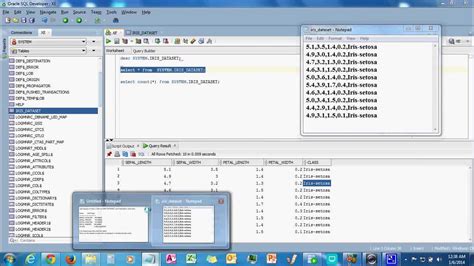 Import Data Or Records Into A Table In Sql Developer Youtube