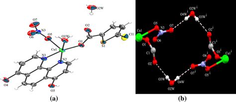 Molecular Structure Of 3 Displaying The Crystallographic Numbering