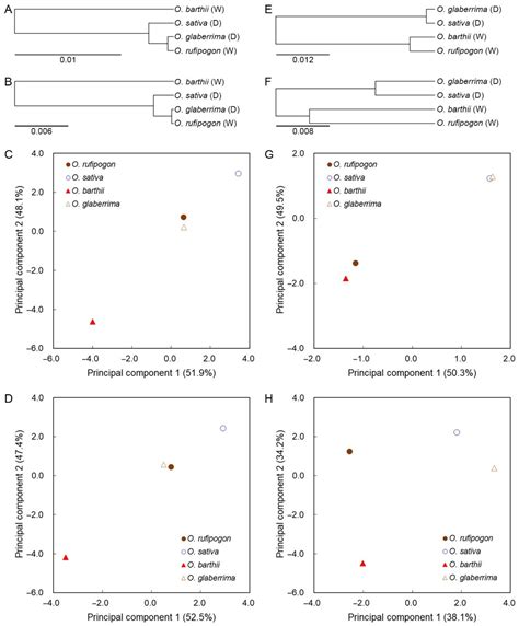 Ijms Free Full Text The Shift In Synonymous Codon Usage Reveals