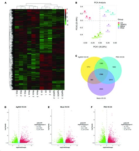 Comparative Analysis At The Transcriptomic Level For The Elicitation