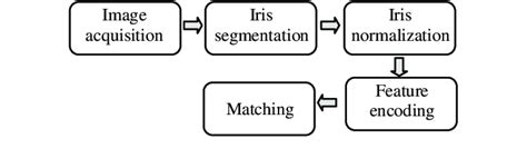 Typical Main Steps Of An Iris Recognition System Download Scientific