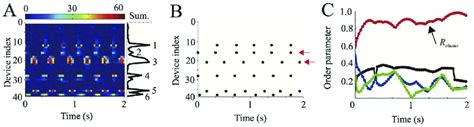 Spatio Temporal Structure In An Actual Frog Chorus Obtained By Our