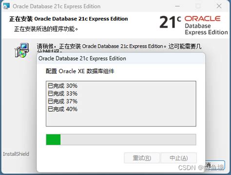 windows11安装使用oracle21c详细步骤＜图文保姆级＞新版本 windows oracle 21c csdn博客