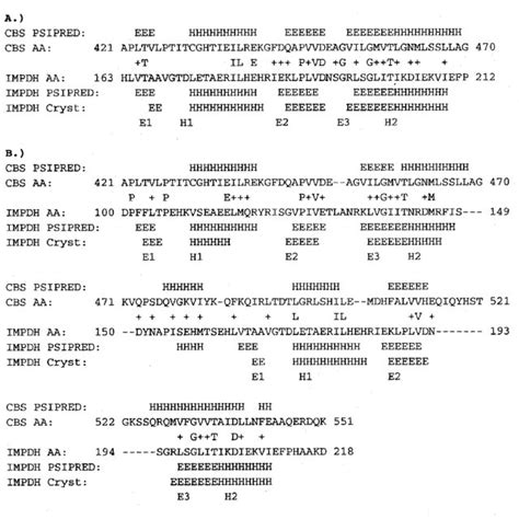 Sequence Alignment And Secondary Structure Prediction For Human Cbs And