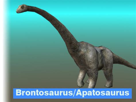 brontosaurus apatosaurus dinosaur v1 game assets for