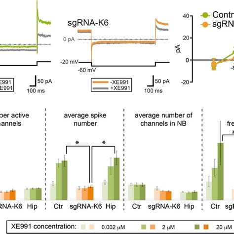 Rapid And Efficient Tsc2 Gene Inactivation By Crispr Cas9 Gene