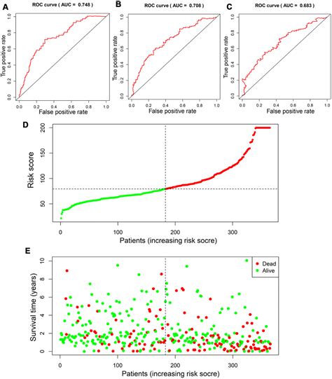 Development And Validation Of A Prognostic Classifier Based On Hif 1