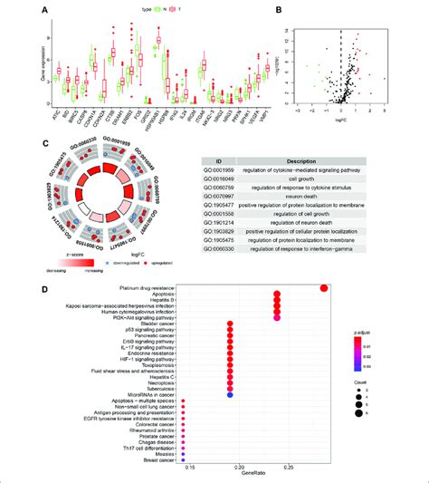 The Differentially Expressed Args And Function Analysis In A