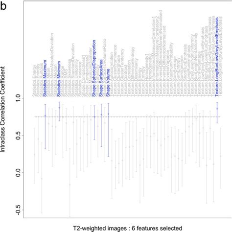 Radiomics Features Selected On The Basis Of The Intraclass Correlation