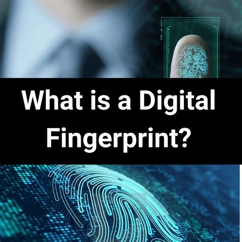 what is a digital fingerprint just understanding data
