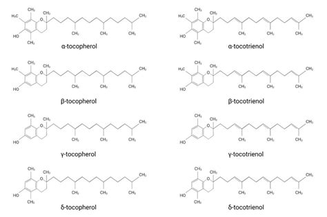 The Structures Of Tocopherol And Tocotrienol Derivatives Download