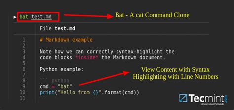bat a cat clone with syntax highlighting and git