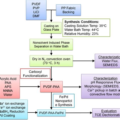 Flowchart Detailing Spongy Membrane Synthesis Functionalization And