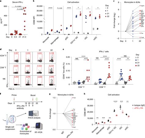 Enhanced Innate Immune Response After Boost Is Mediated By Ifn γ
