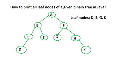 how to print all leaf nodes of binary tree in java binary tree java