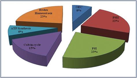 Pie Diagram Depicting Functional Categorization Of Differentially