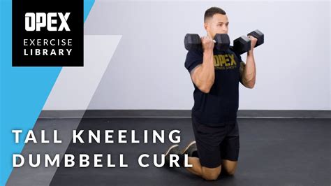 Tall Kneeling Dumbbell Curl Opex Exercise Library Youtube