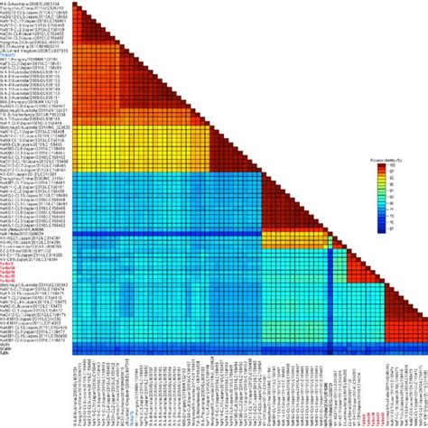 Nucleotide Pairwise Identity Color Matrix Of Coat Protein Cp Gene