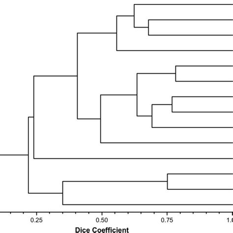 Hierarchical Cluster Analysis Dendrogram Of Angelica Lignescens And
