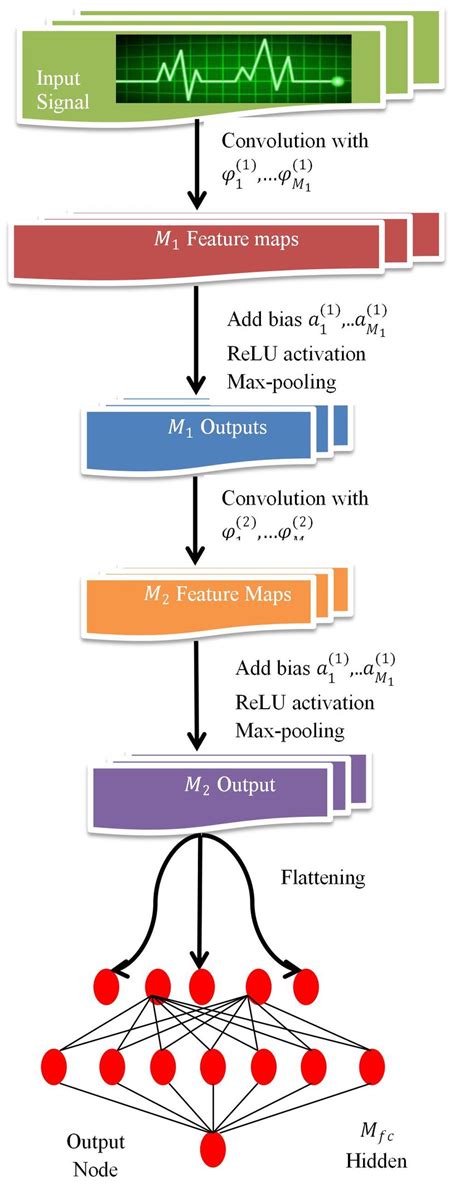 The Proposed Hybridized Hierarchical Convolutional Neural Network