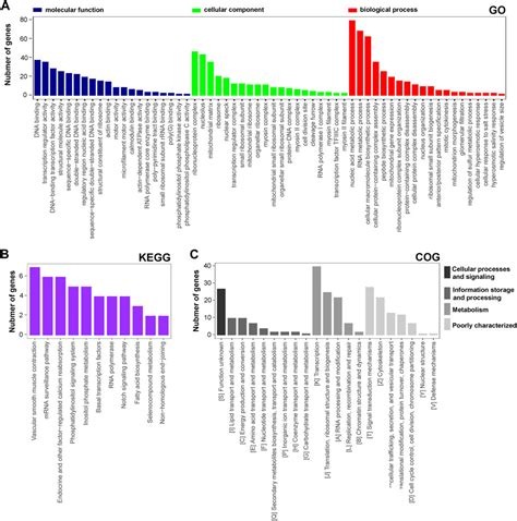 Frontiers Integration Of Transcriptomic Proteomic And Metabolomic