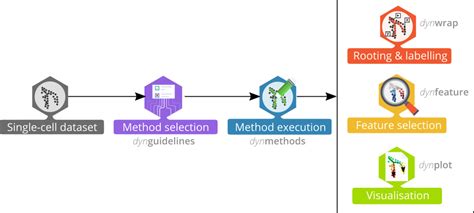 Github Mariafiruleva Trajectory Inference Both Tutorial And Basic