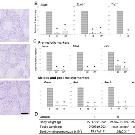 Testicular Histology And Levels Of Three Mrna Transcripts Encoding