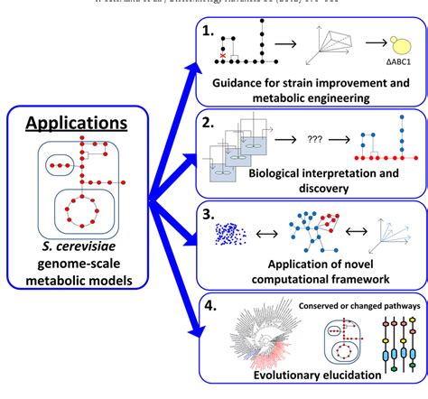 Fifteen Years Of Large Scale Metabolic Modeling Of Yeast Developments