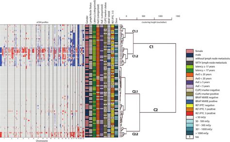 unsupervised hierarchical cluster analysis of cna profiles resulting in