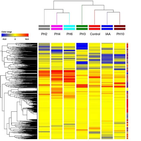 Unsupervised Hierarchical Cluster Analysis Hca Carried Out From
