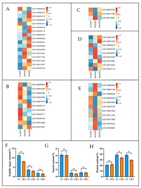Ijms Free Full Text Metabolomics And Transcriptomics Analyses